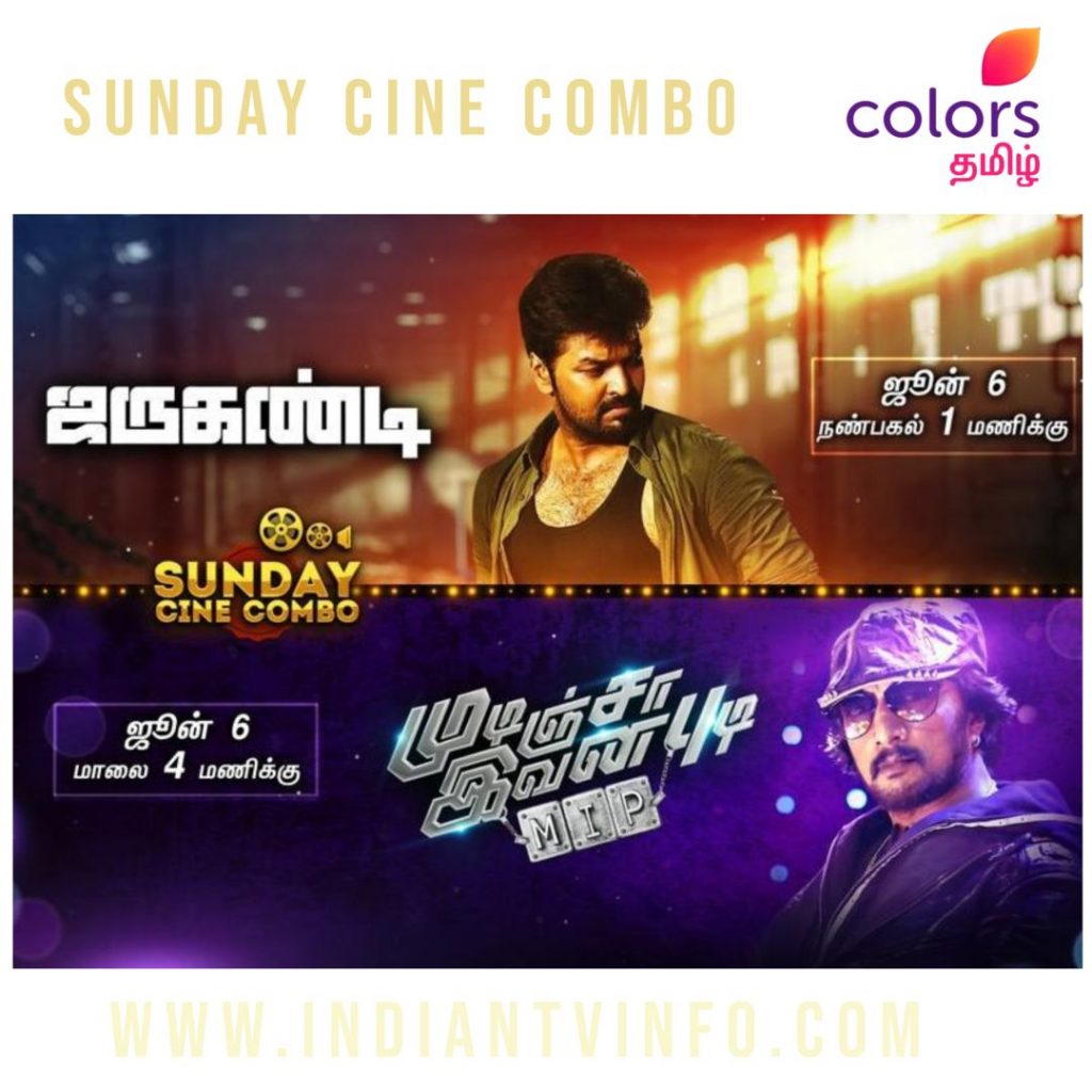 Nandini Tamil Serial On Sun TV - Story, Hero And Heroine Name, Cast List