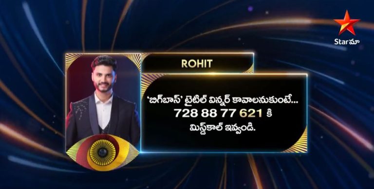 Bigg Boss Telugu 6 On Star Maa - Grand Finale Contestants Name and ...