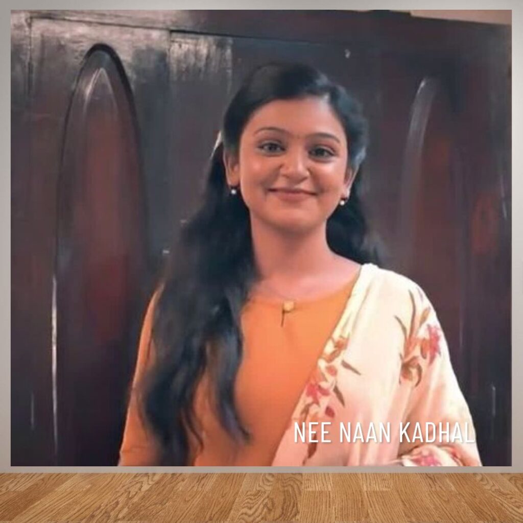Nee Naan Kadhal - Star Vijay Serial Starring Saai Gayathri, Shankaresh ...